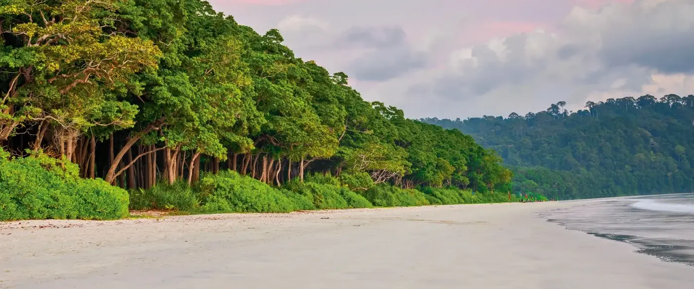 Neil Island Tour Packages | Top Travel Agent in Neil Island
